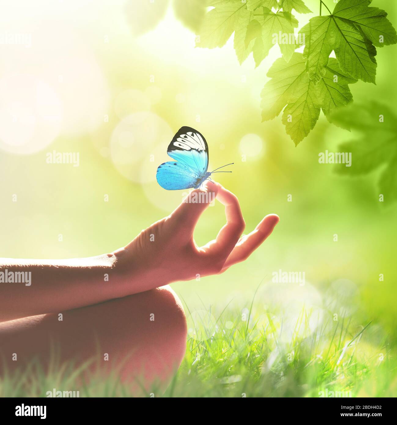 Yoga butterfly hi-res stock photography and images - Alamy