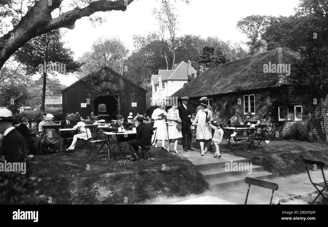Box Hill, Upper Farm Tea Gardens 1928 Stock Photo - Alamy