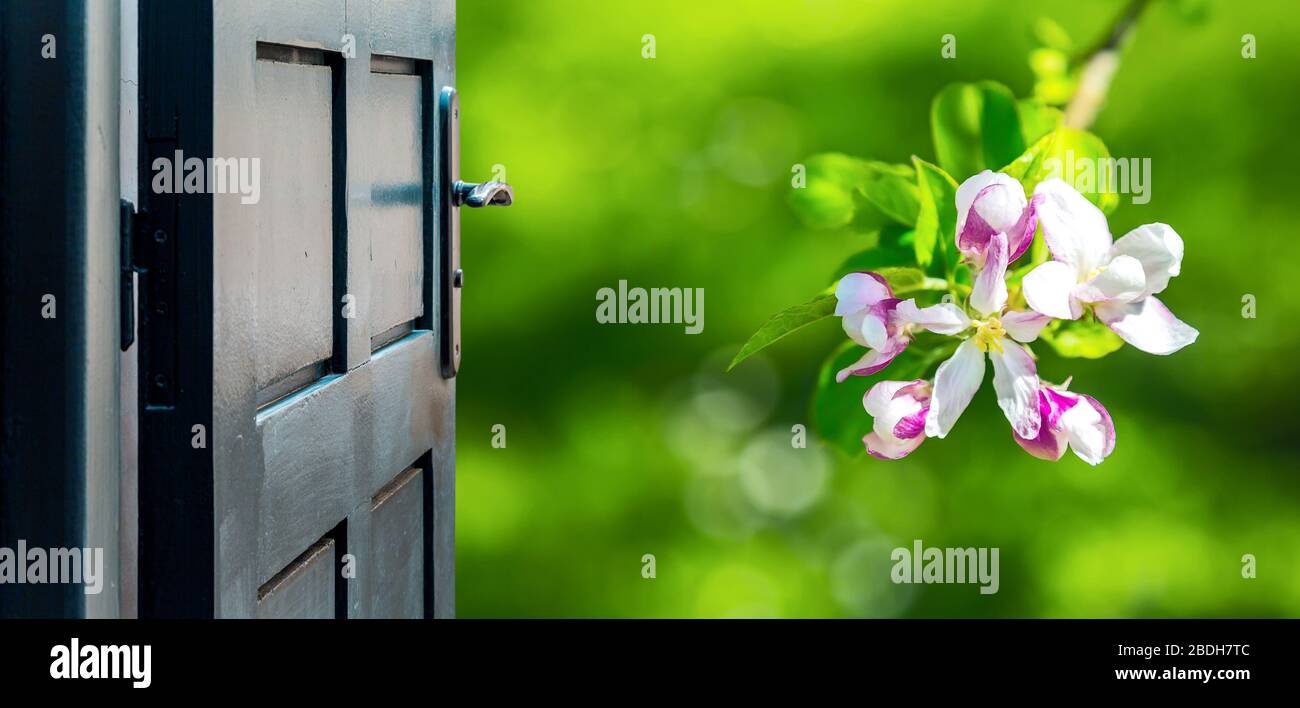 Opened door concept with a beautiful flower and greenery illustrating ...