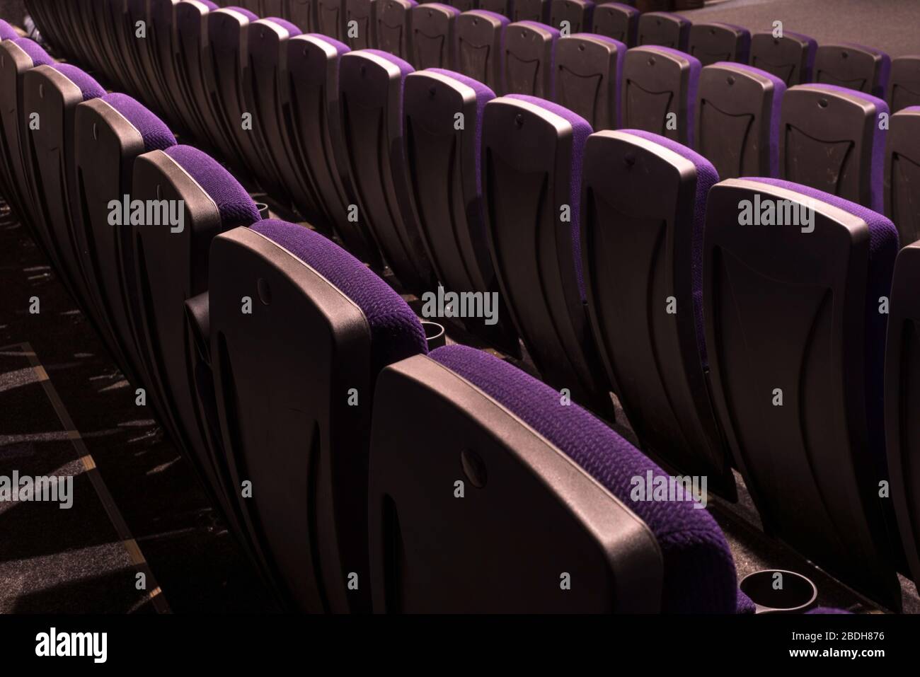 Empty comfortable red seats with numbers in cinema General plan of pink ...