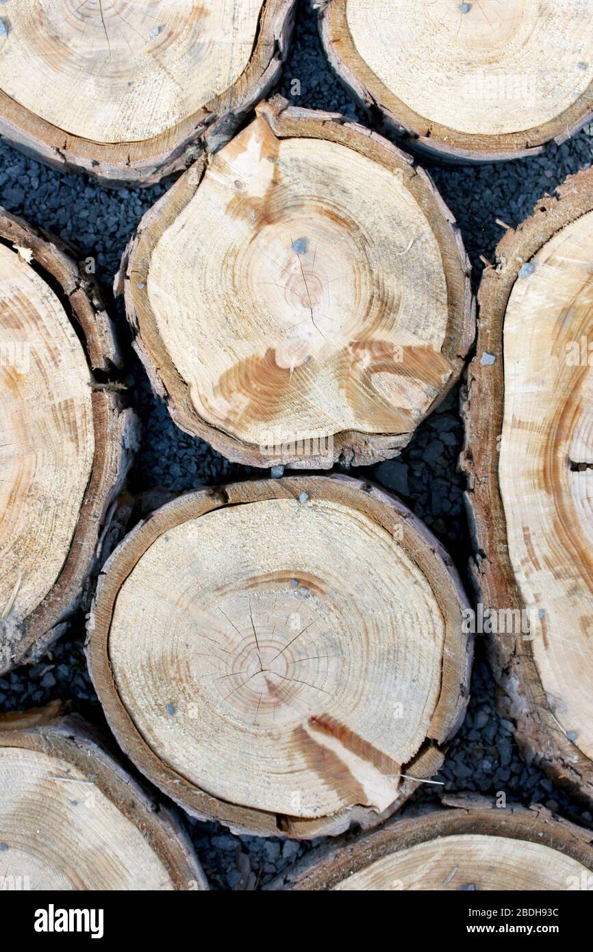 Partial view of a stack built-up tree trunks Teilansicht von einem ...