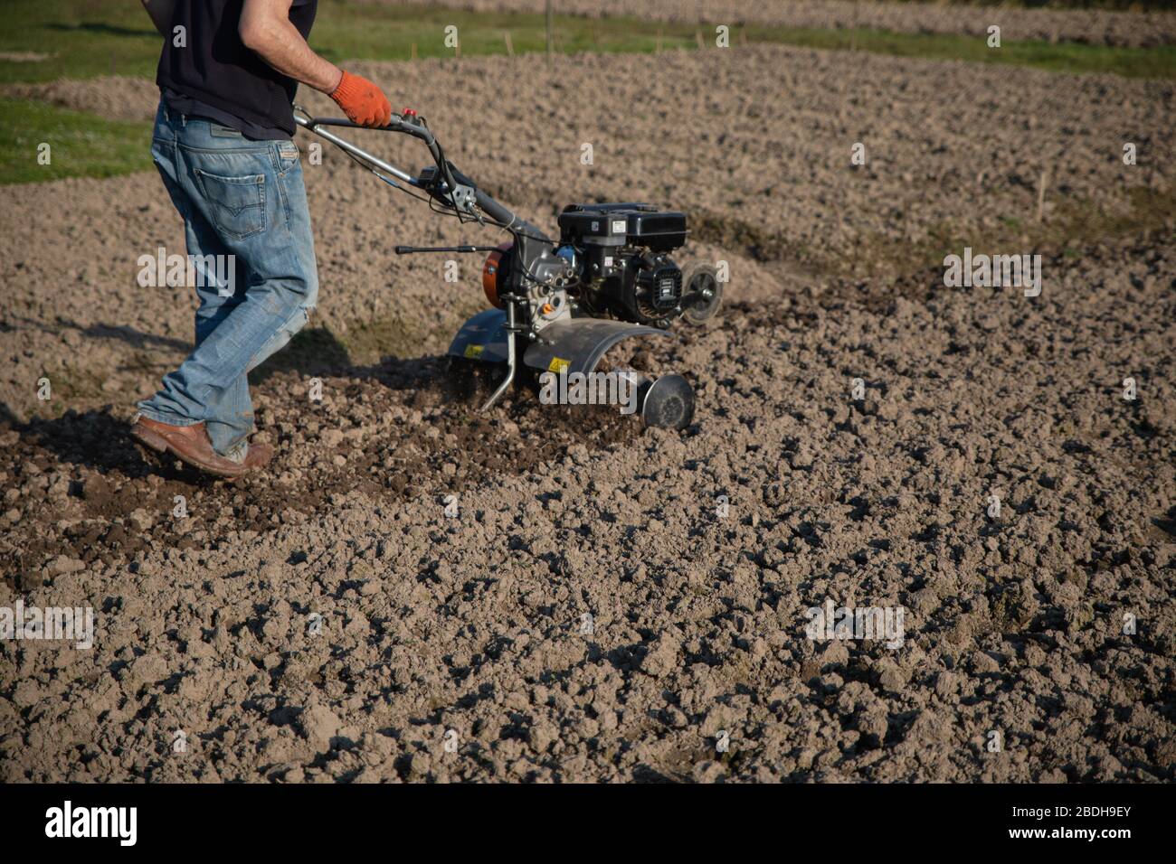 small orange plowing machine in hands of a farmer making arable in ...