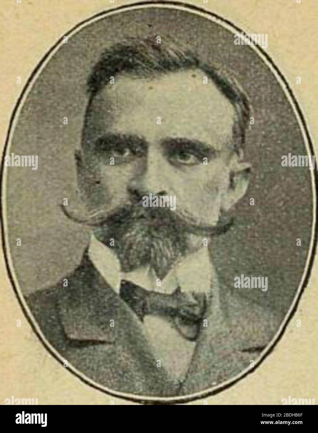 Duma 1906 hi-res stock photography and images - Alamy