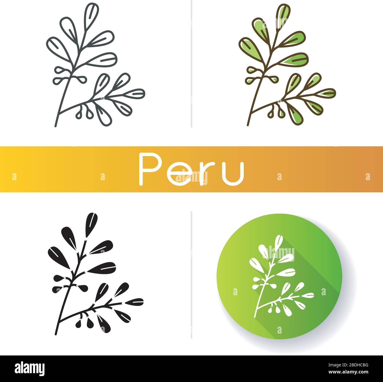 Coca icons set. Branche of cocaine tree. Erythroxylum coca. Hispanic ...