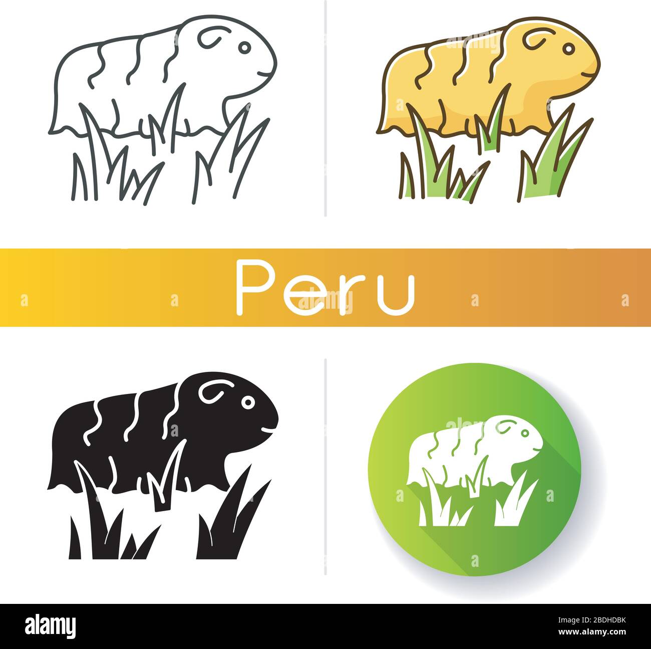 Guinea pig cavy cavia Stock Vector Images - Alamy