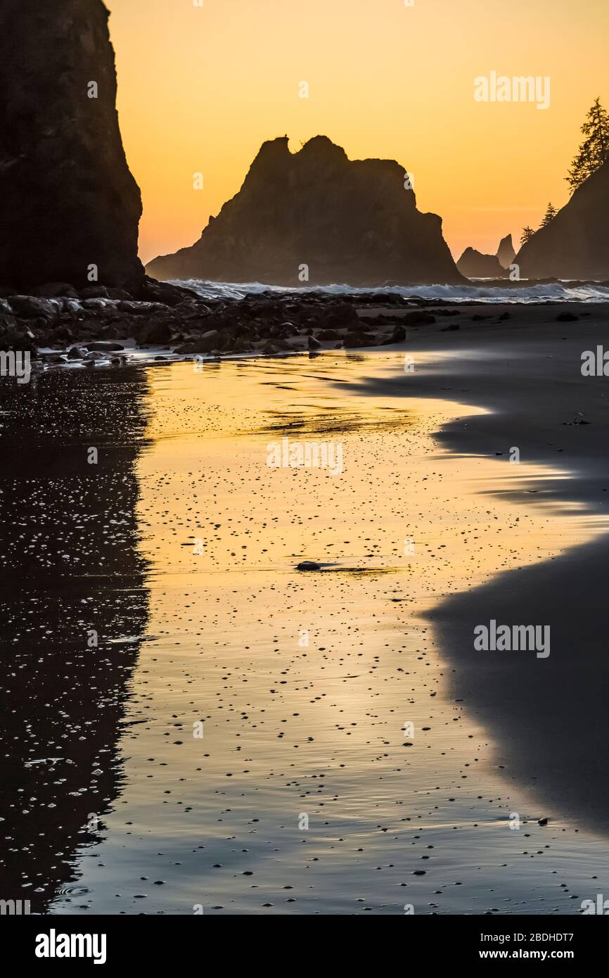 Sunset among the sea stacks on Rialto Beach in Olympic National Park ...