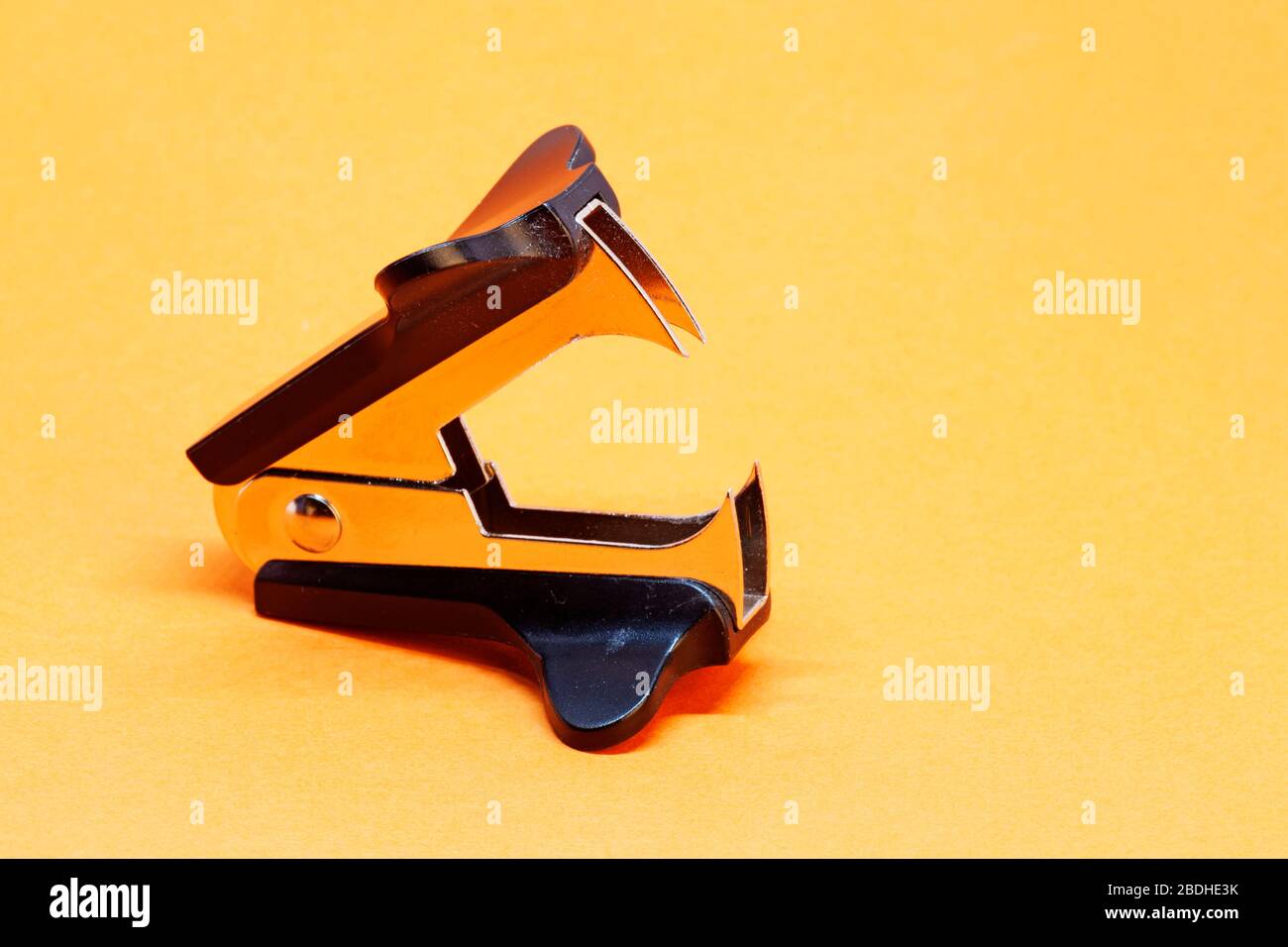 Remove staples hi-res stock photography and images - Alamy