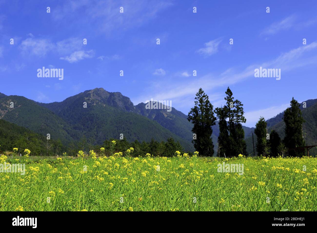 Wuling Farm Taiwan Stock Photo - Alamy