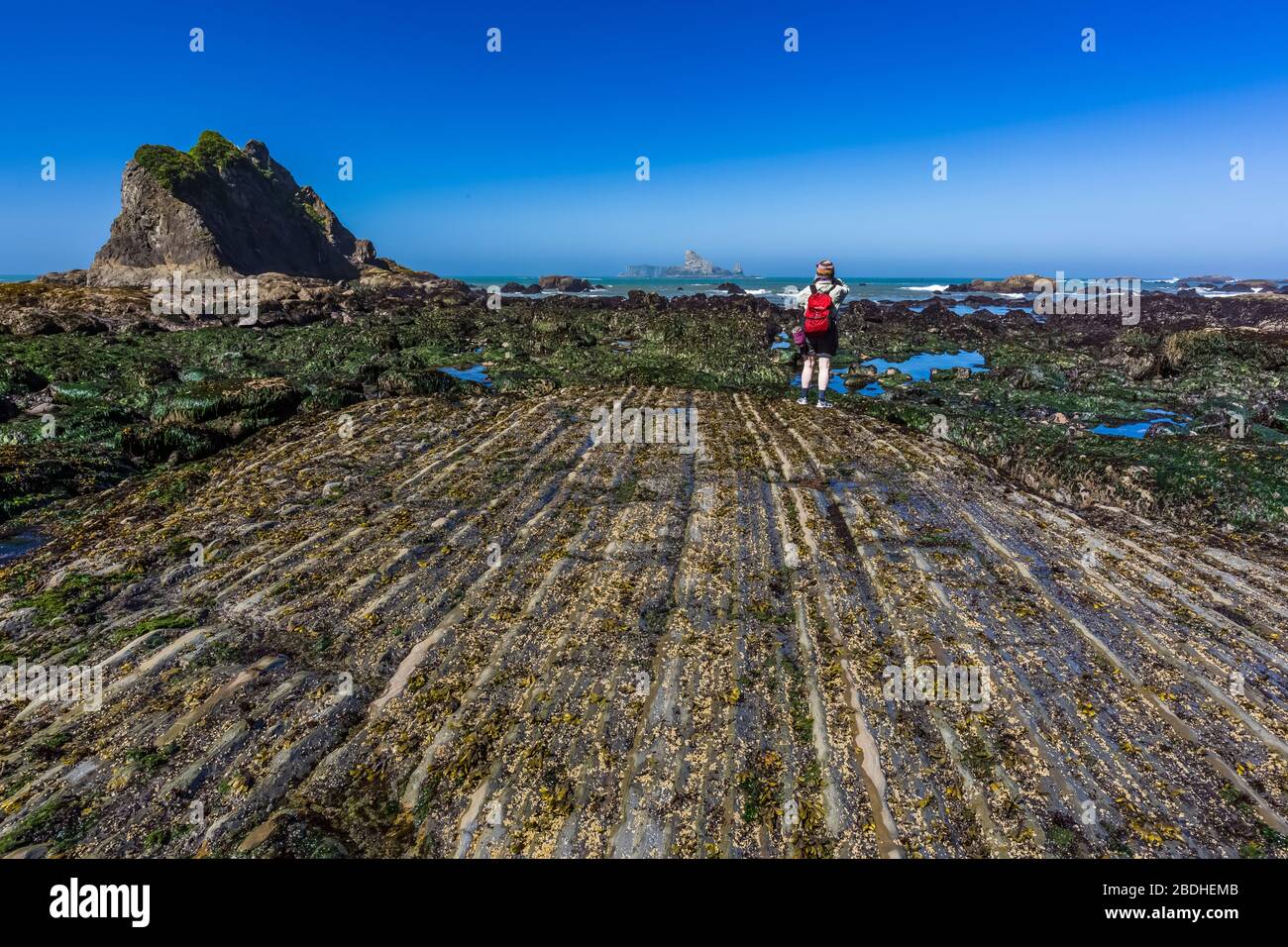 Parallel lines of rock revealed at low tide on Rialto Beach in Olympic ...