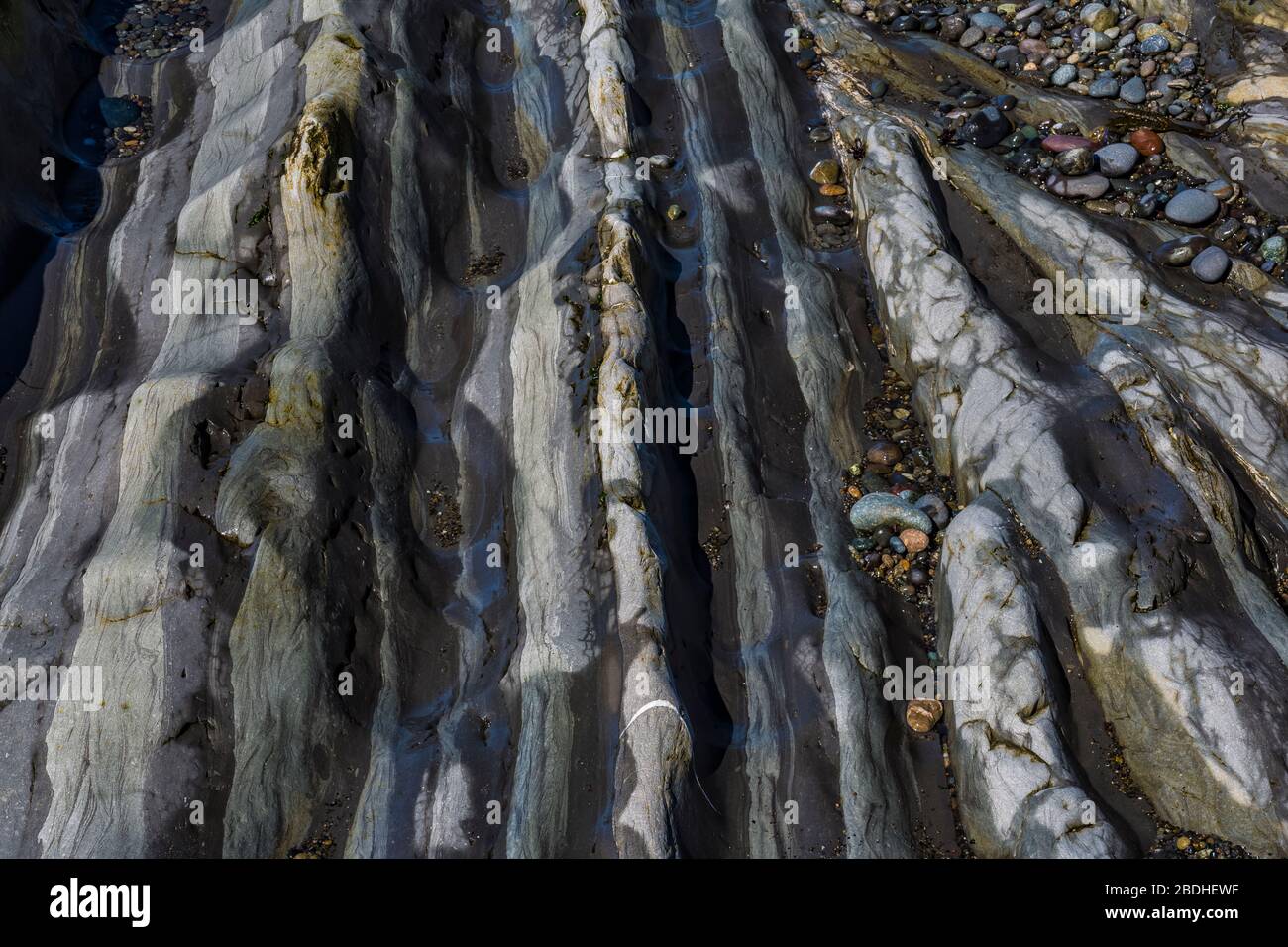 Parallel lines of rock revealed at low tide on Rialto Beach in Olympic ...