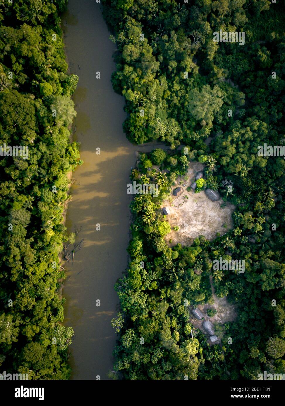Amazon Indigenous Shiwiar community, Pastaza region, Ecuador Stock ...