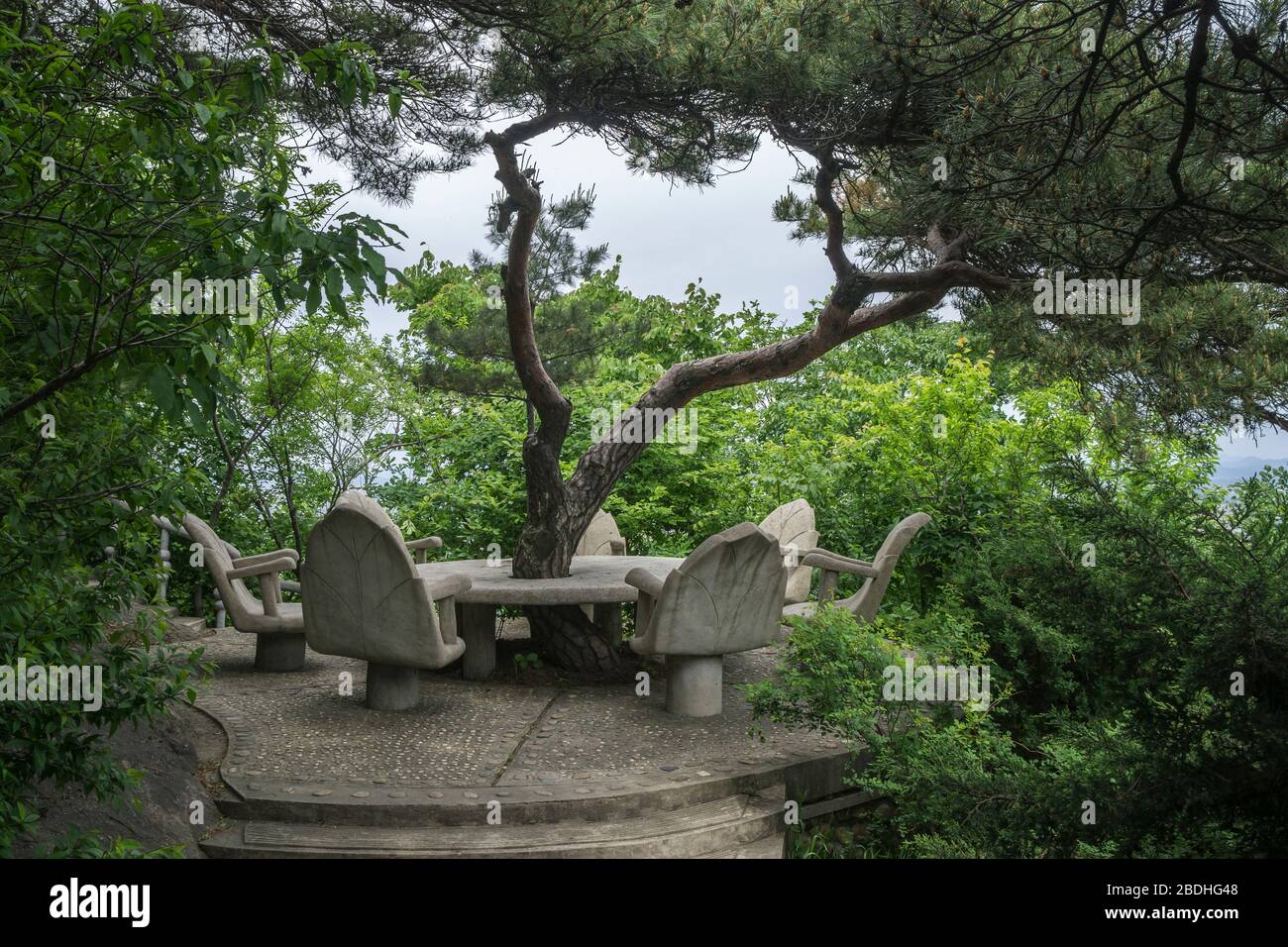 North korean dynasty hi-res stock photography and images - Alamy