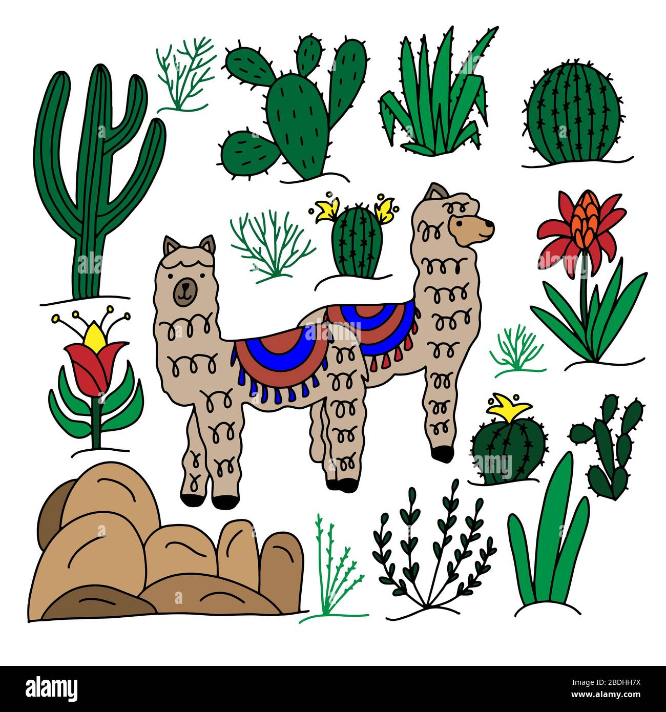 Decorative set of cute alpacas and cacti on a white background. Vector ...