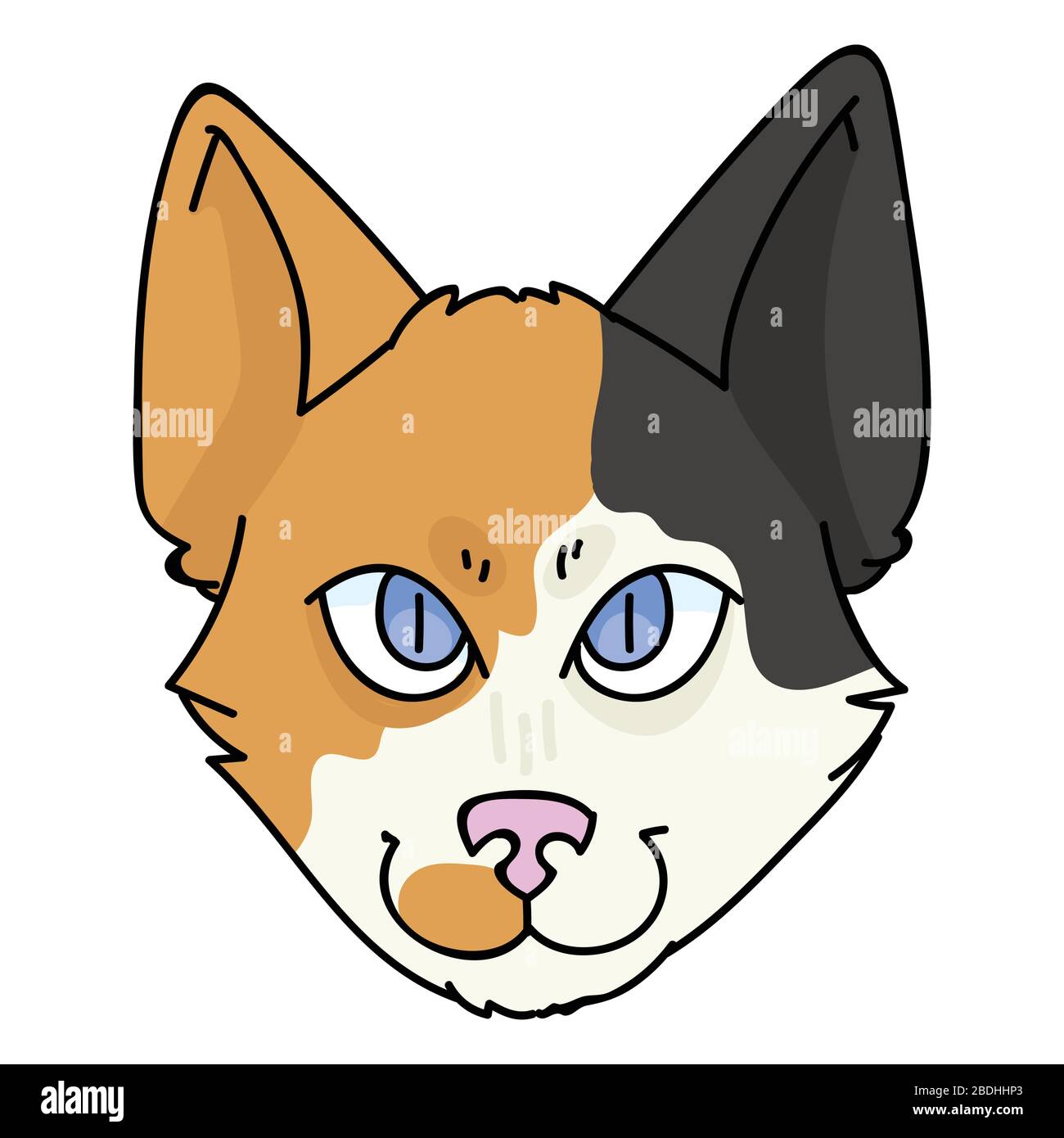 Cute Calico Cat Face
