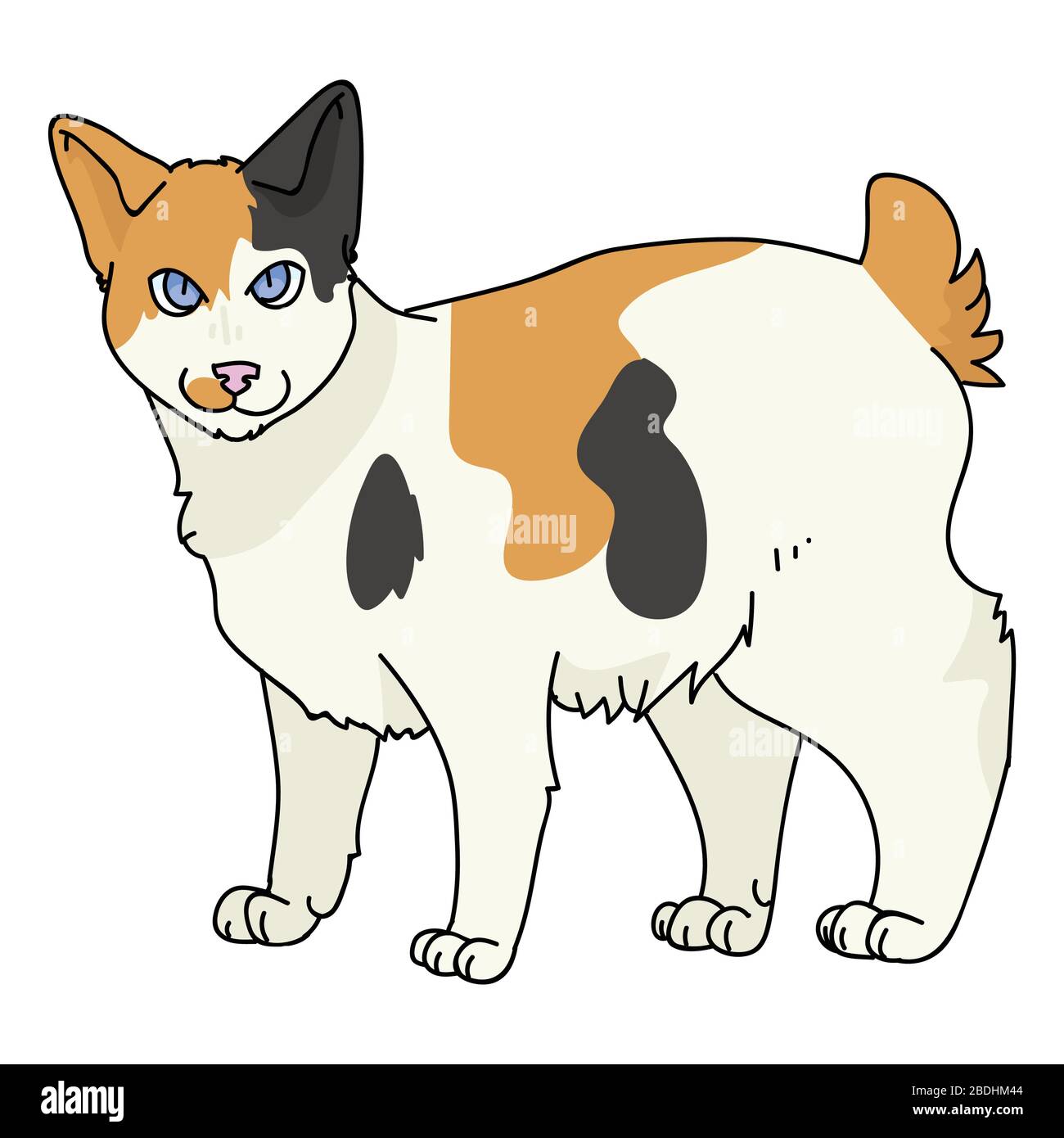 Japanese bobtail Cut Out Stock Images & Pictures - Alamy