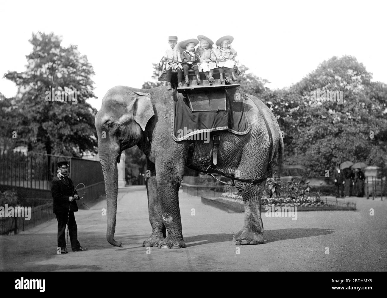 London Zoo Children Stock Photos & London Zoo Children Stock Images - Alamy