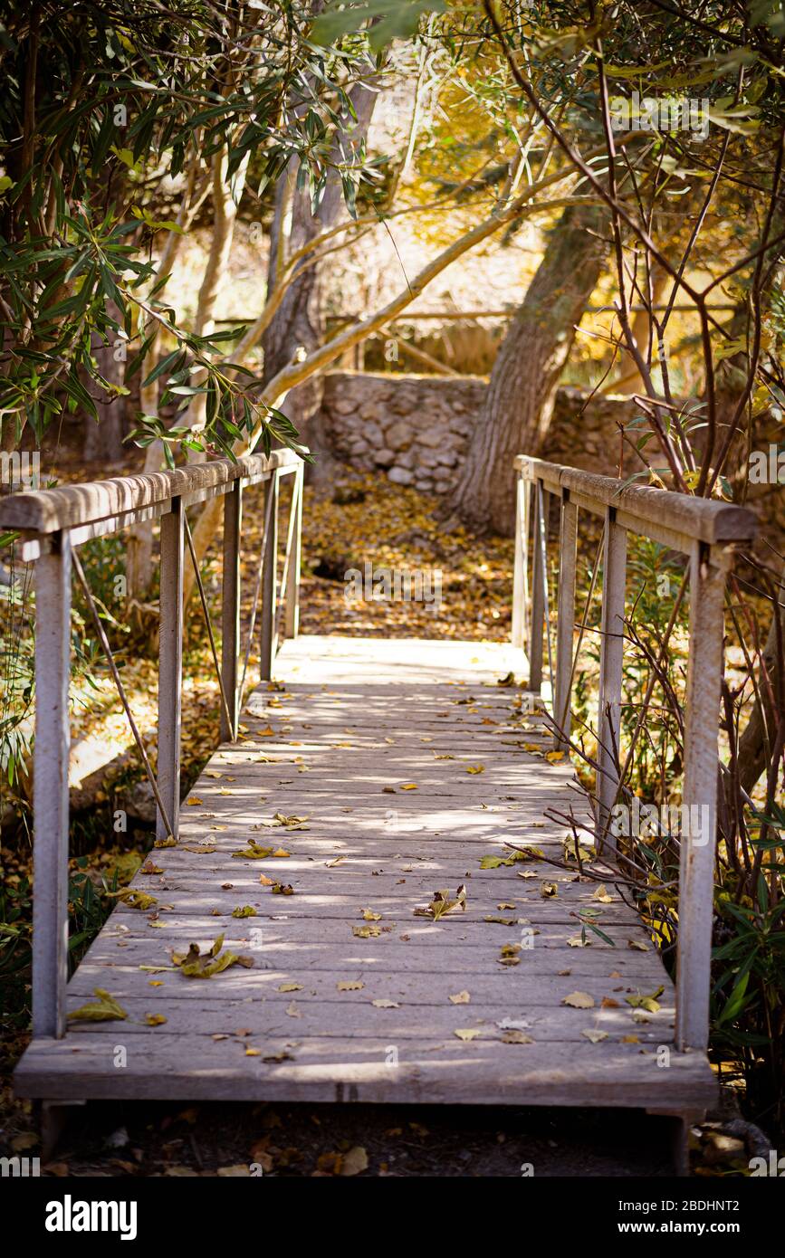 Wood bridge on the forest vanishing point perspective Stock Photo - Alamy