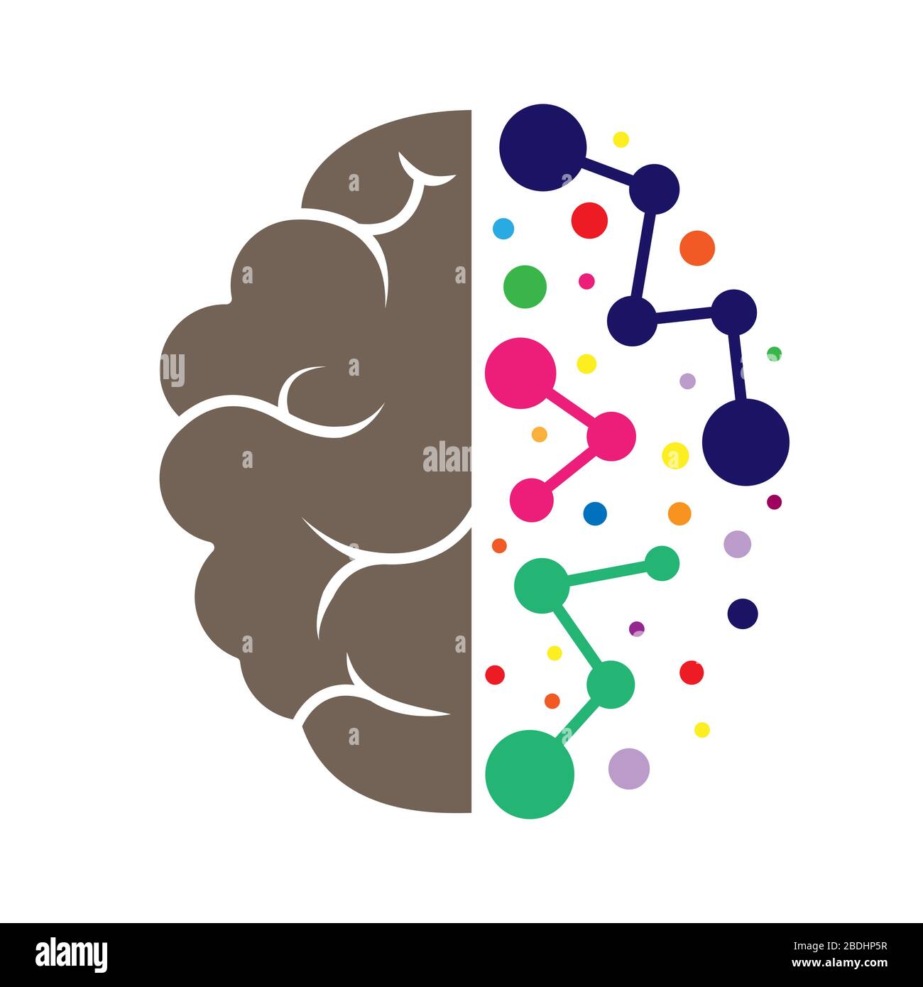 left and right hemisphere of the brain. Geometric construction of ...