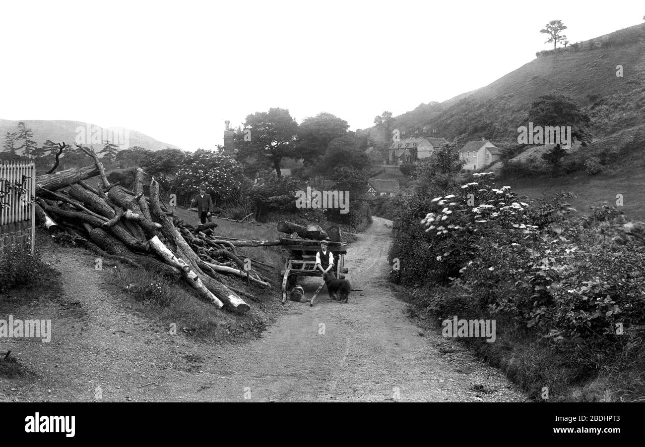 All Stretton, the Long Mynd Hills, Collecting Wood 1910 Stock Photo - Alamy