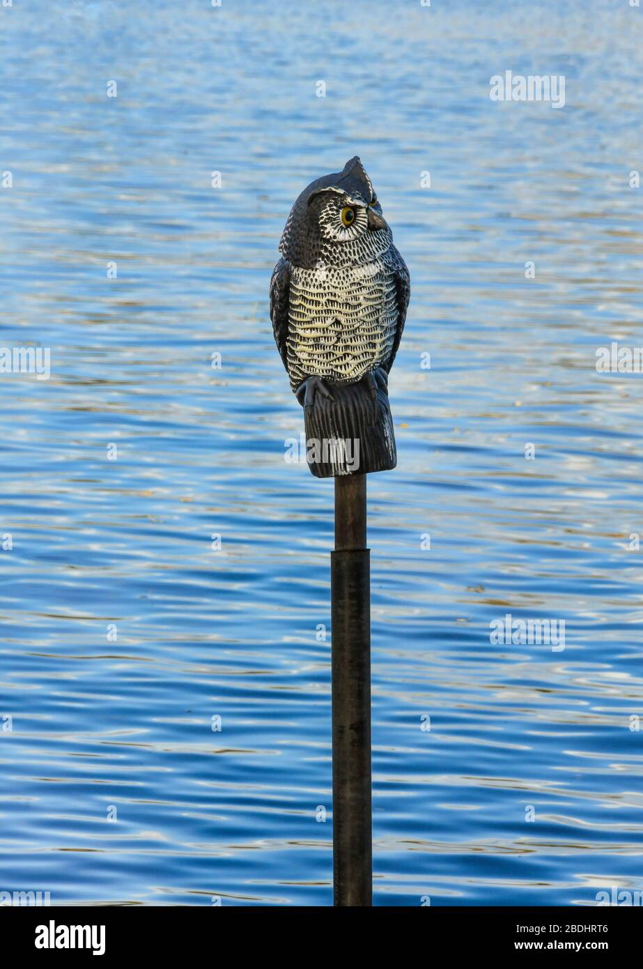 RIVER THAMES, WINDSOR, ENGLAND - NOVEMBER 2018: A realistic artificial ...