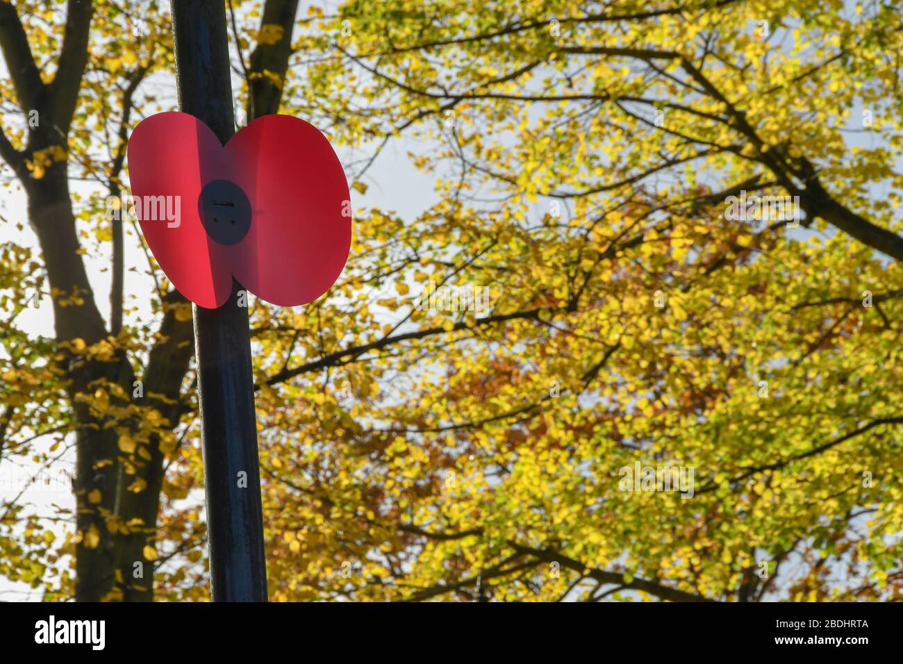 Plastic poppy hi-res stock photography and images - Alamy