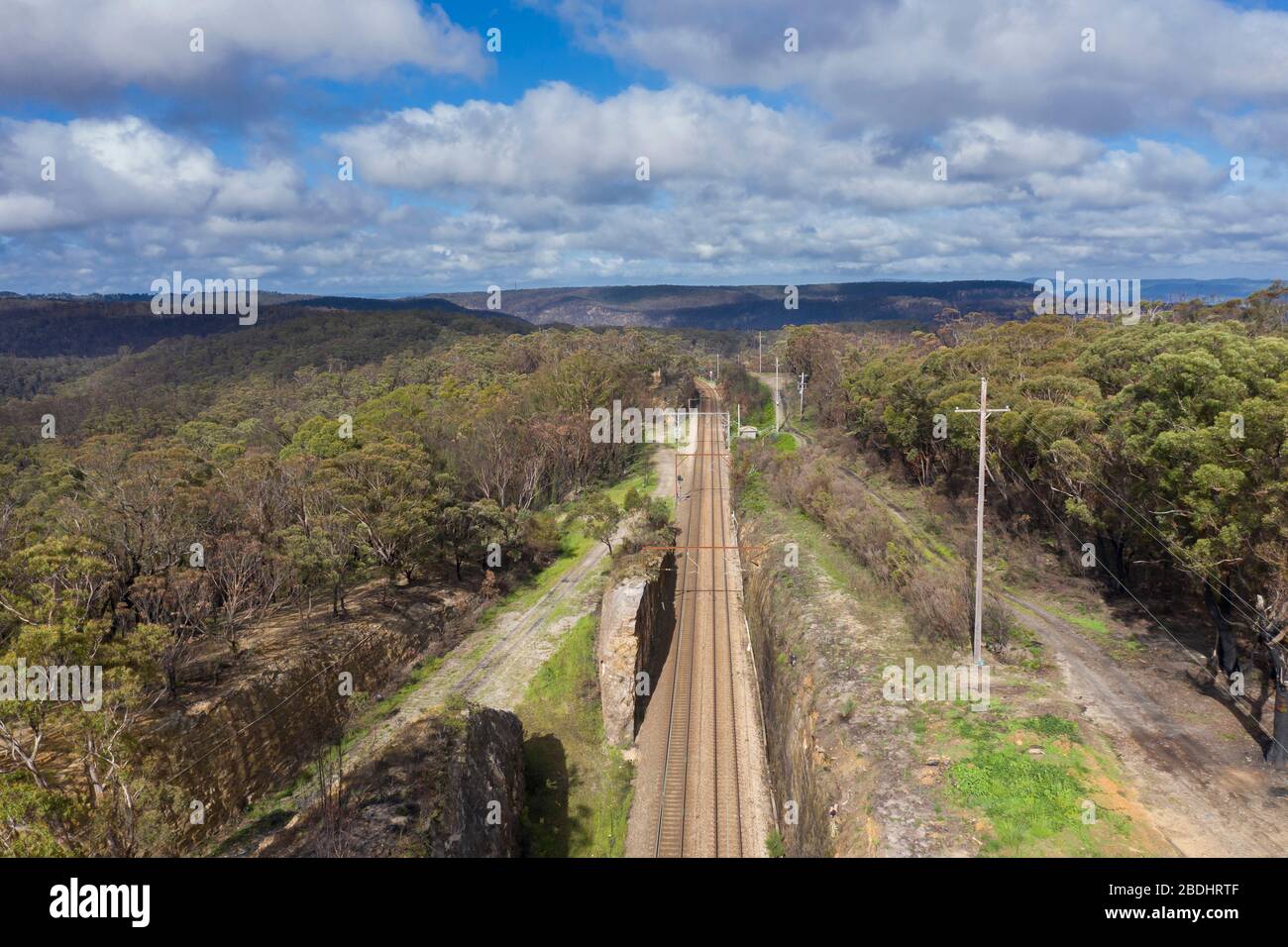 A regional railway line running through a forest of trees Stock Photo ...