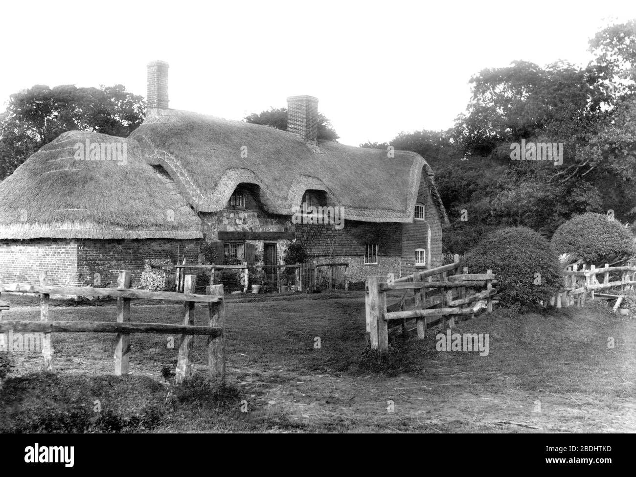 Savernake, Brown's Farm 1908 Stock Photo - Alamy