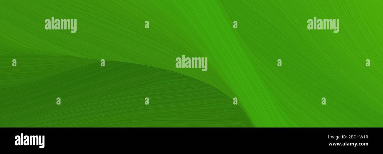 elegant artistic horizontal header with forest green, dark green and ...