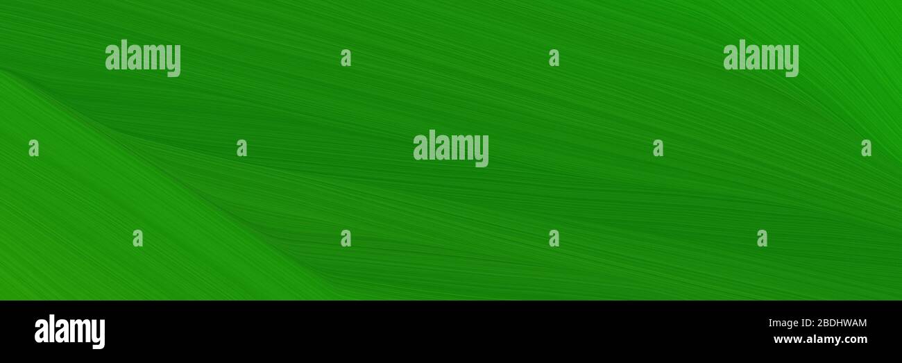 elegant colorful designed horizontal banner with forest green and green ...