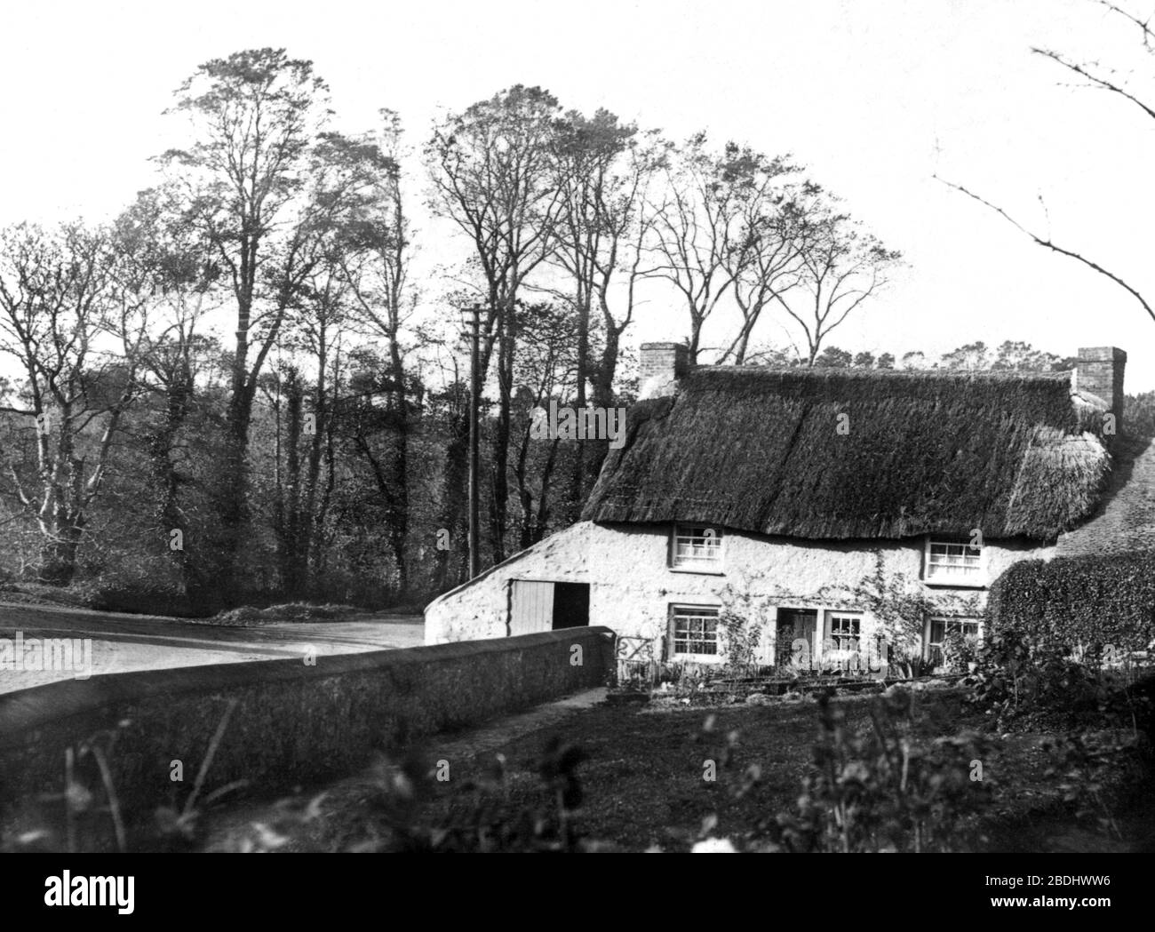 Penzance, Tredarvah Farm, Alverton 1908 Stock Photo - Alamy