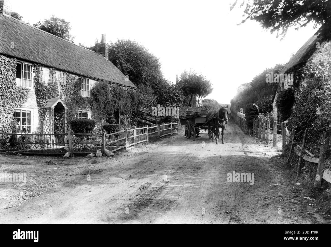 Melplash, the Village 1907 Stock Photo - Alamy