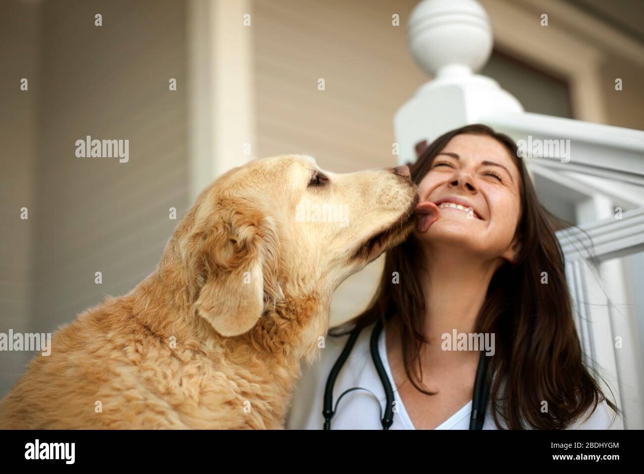 Young female nurse playing with a dog on the verandah of someone's home ...