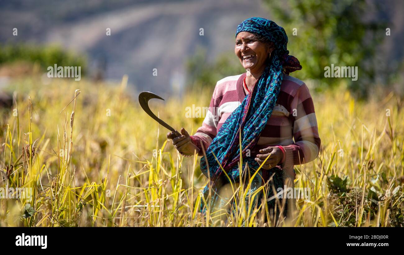 Indian rural culture hi-res stock photography and images - Alamy
