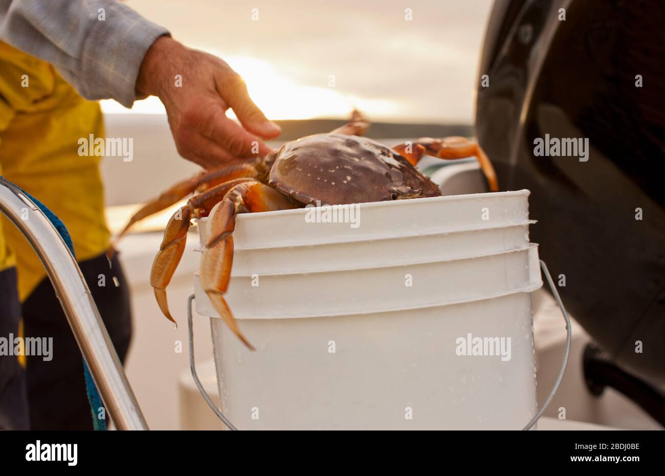 Bucket of water hi-res stock photography and images - Alamy