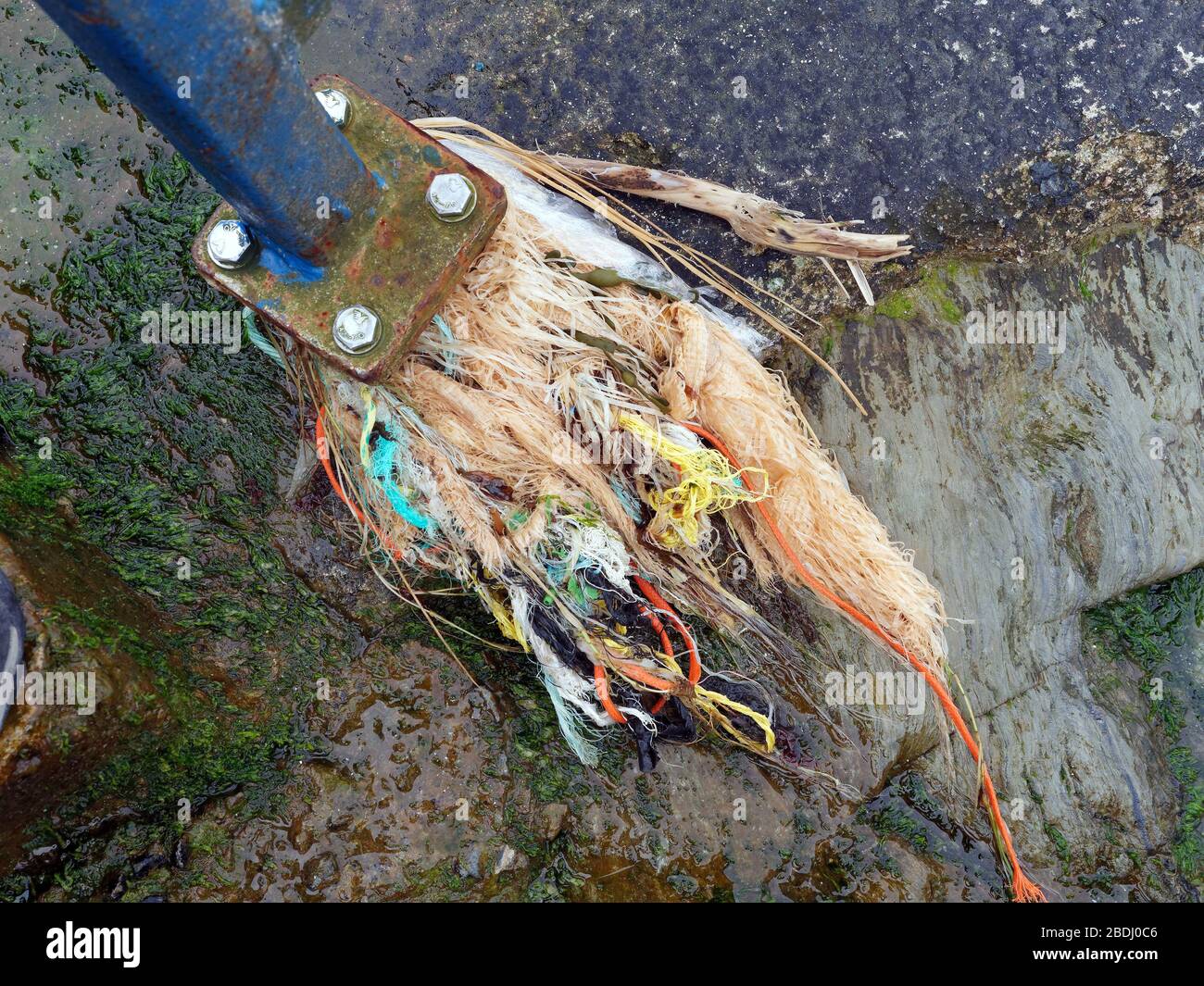 Pollution beach micro plastic and commercial fishing industry plastic ...