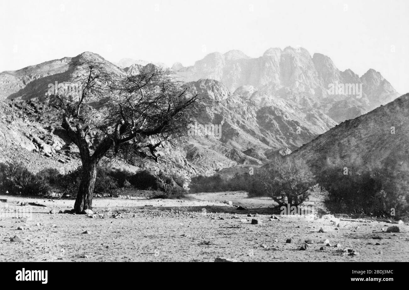 Mount Serbal, from the Wadee Feyran, Sinai 1858 Stock Photo - Alamy
