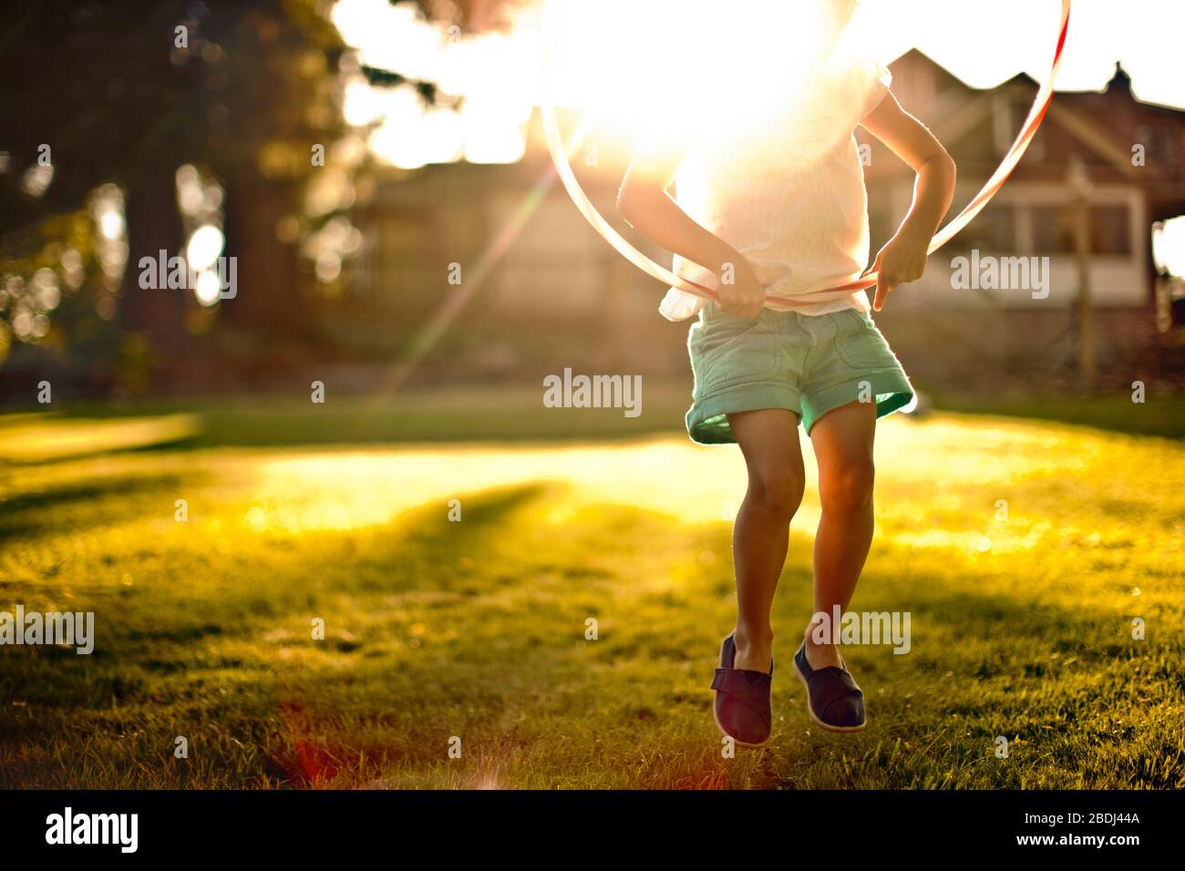 Jump Through Hoops Stock Photos & Jump Through Hoops Stock Images - Alamy