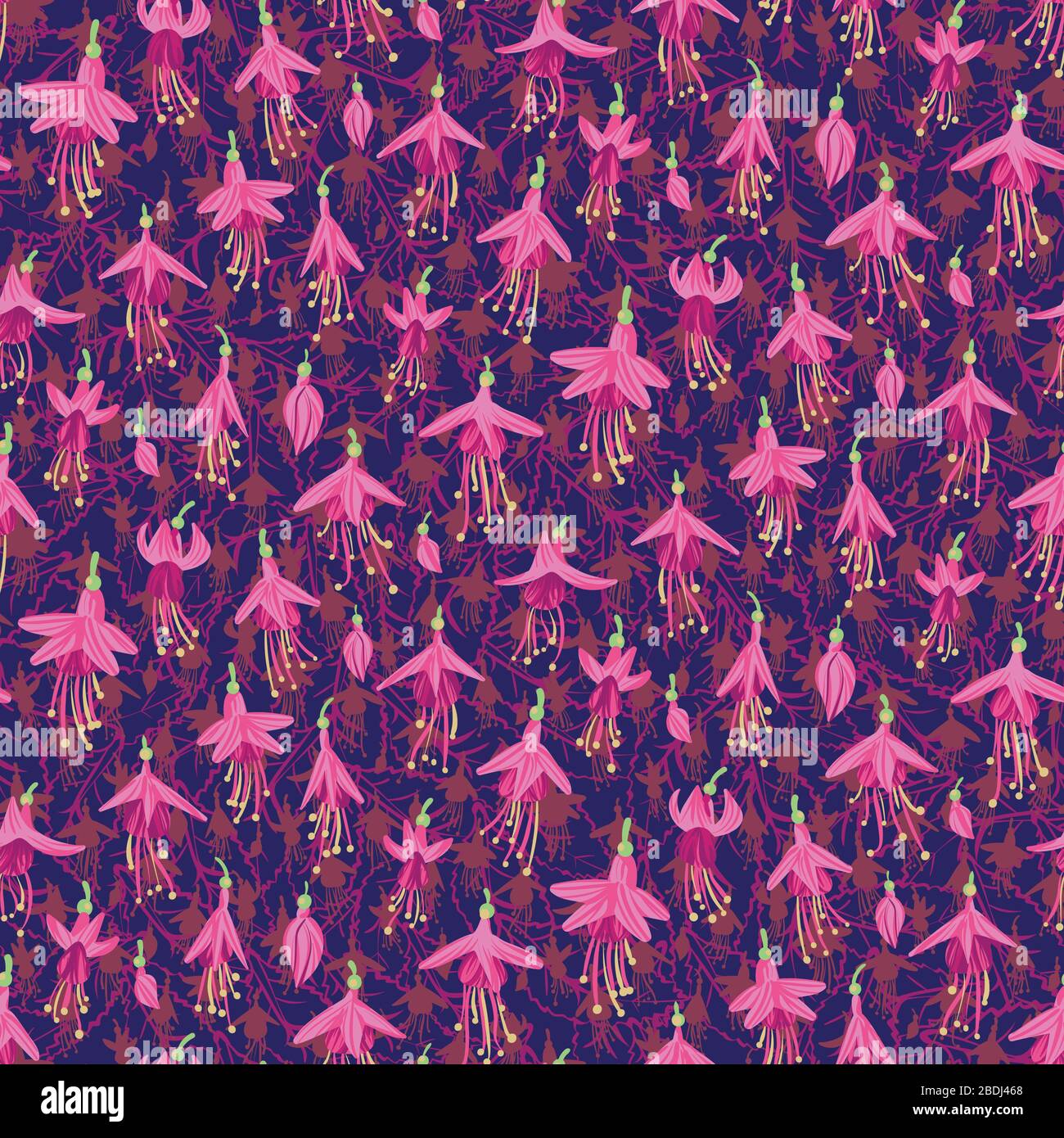 Fuchsia blossoms Stock Vector Images - Alamy