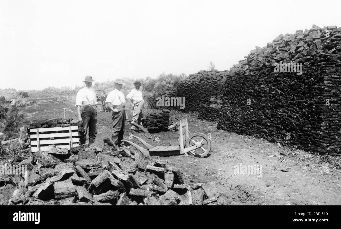 Shapwick, 'Wheeling out the Turf' 1904 Stock Photo - Alamy