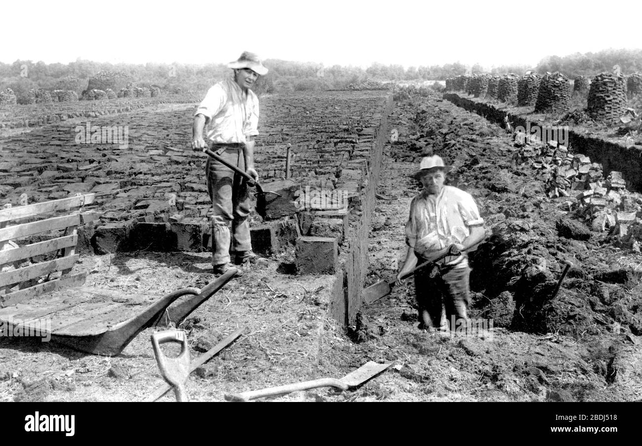 Shapwick, Turfing 1904 Stock Photo - Alamy