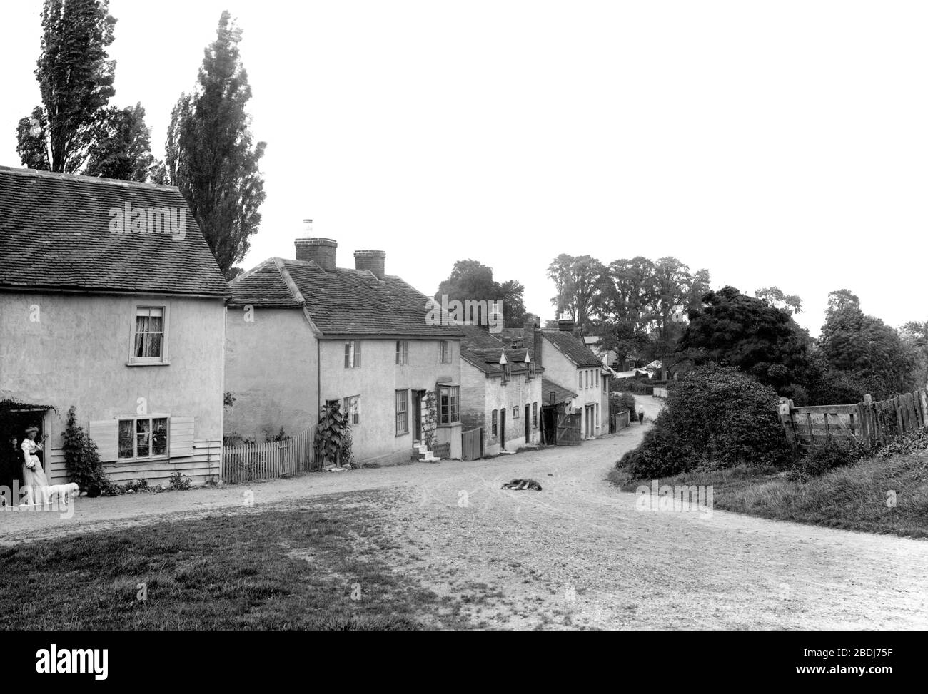 Woodham Walter, the Village 1903 Stock Photo - Alamy