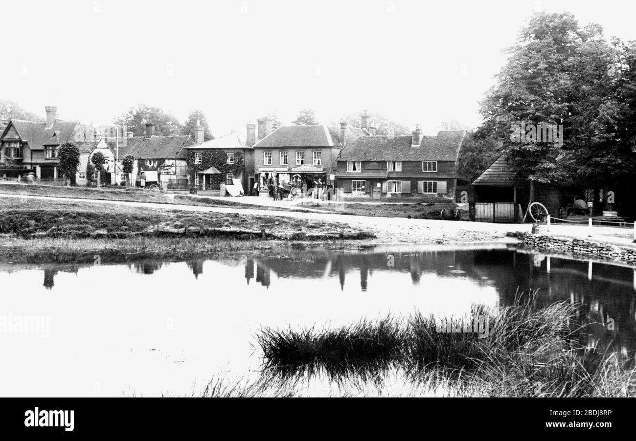 Chiddingfold, Village and Pond 1902 Stock Photo - Alamy