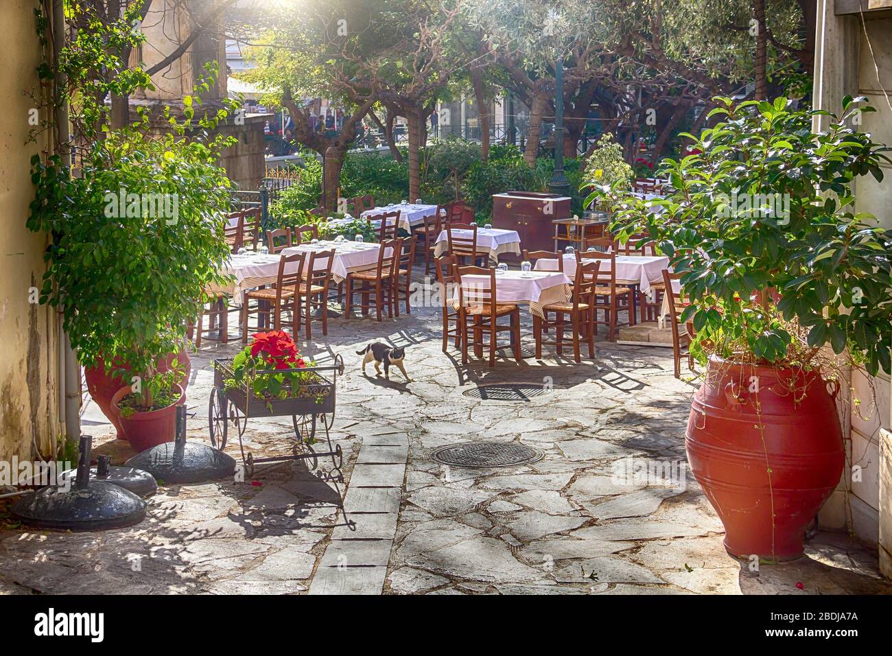 Athens terrace street hi-res stock photography and images - Alamy