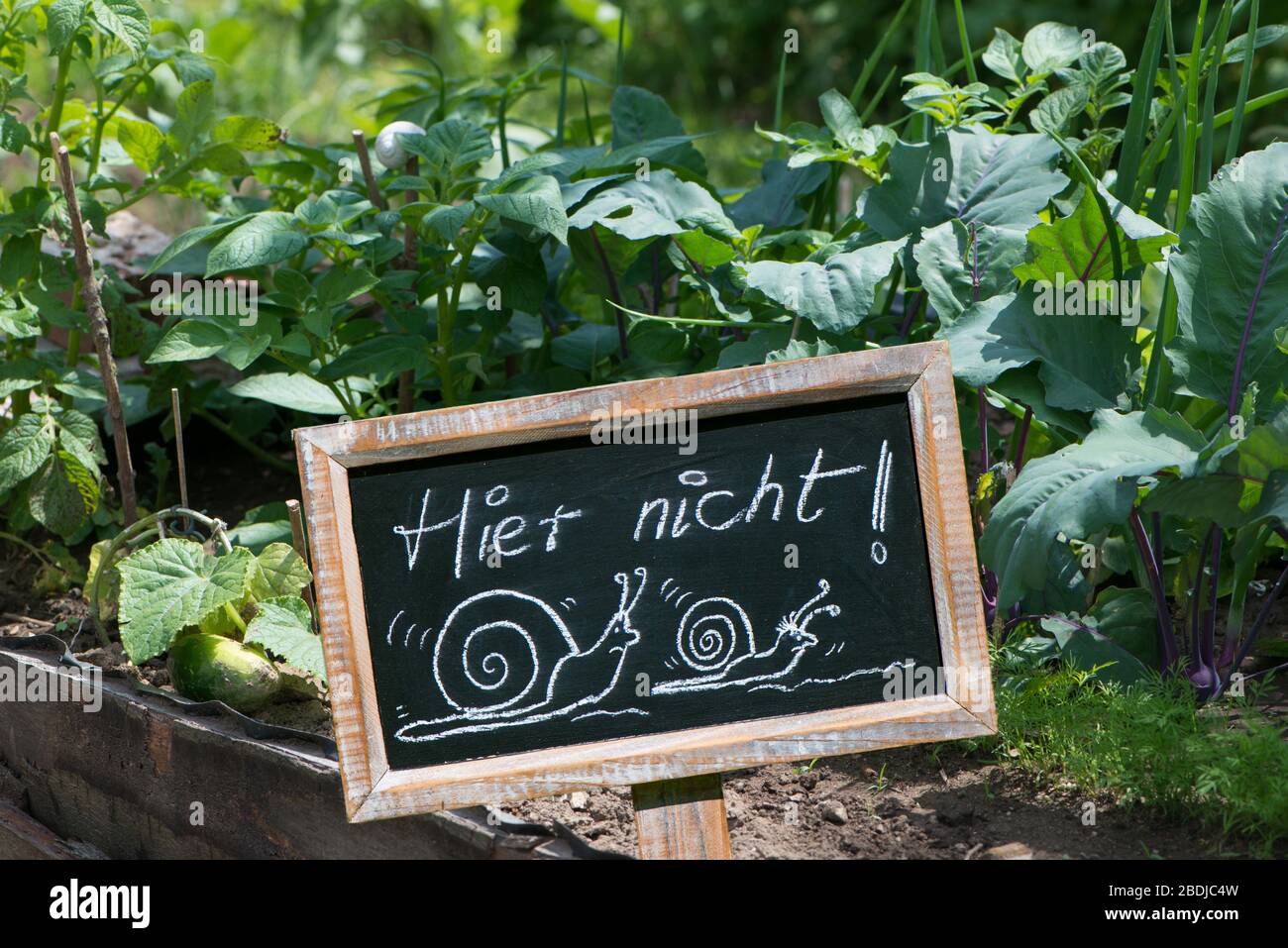 Warning sign for snails Stock Photo - Alamy