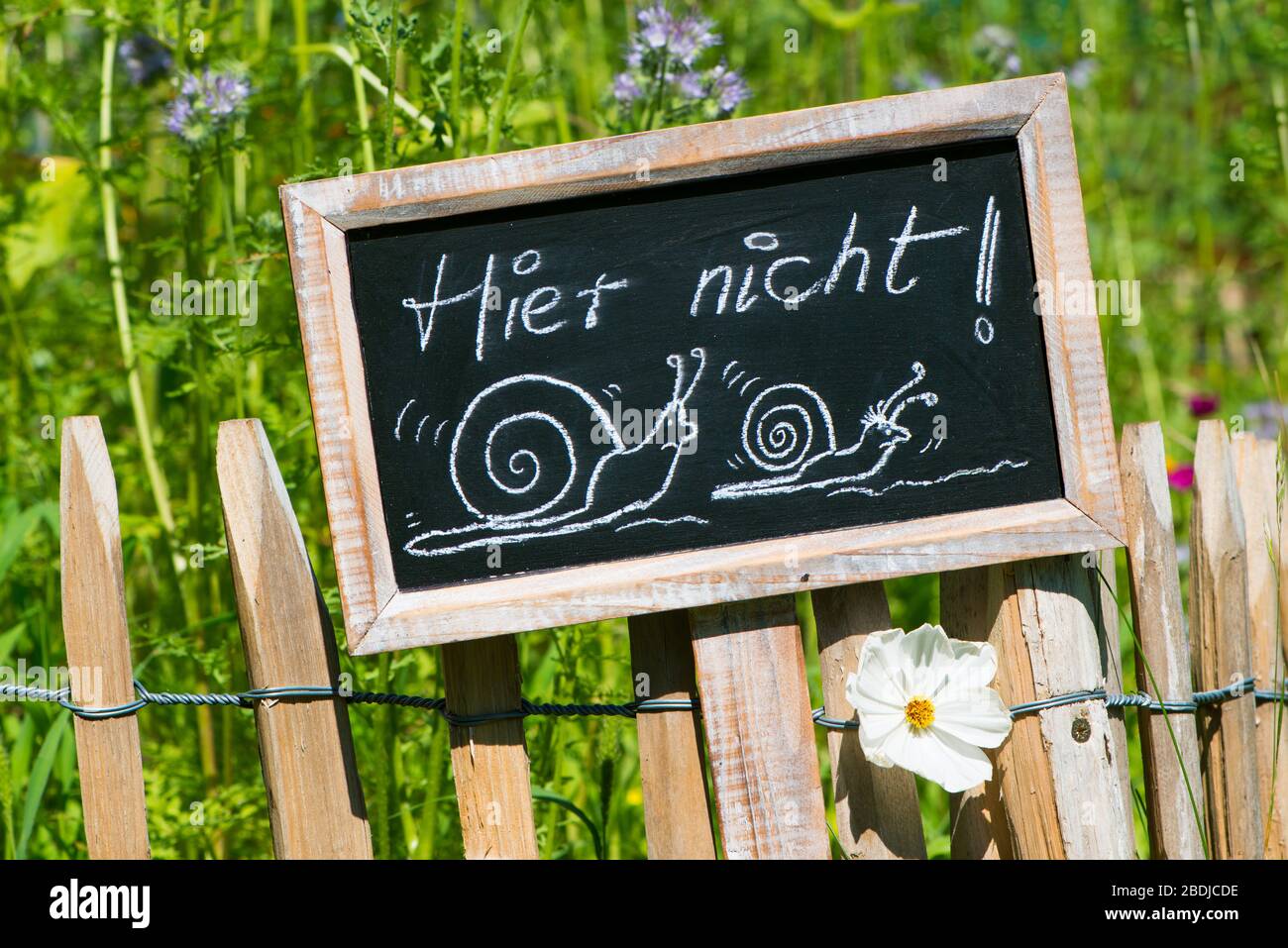 Warning sign for snails Stock Photo - Alamy