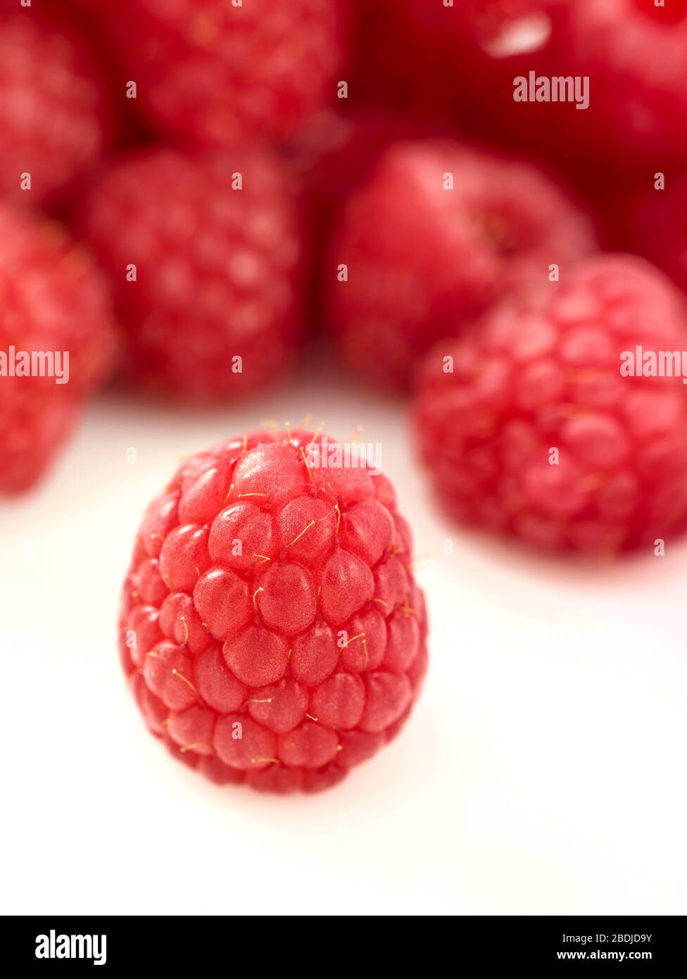 Raspberry fruit single and group food portrait on plain background ...
