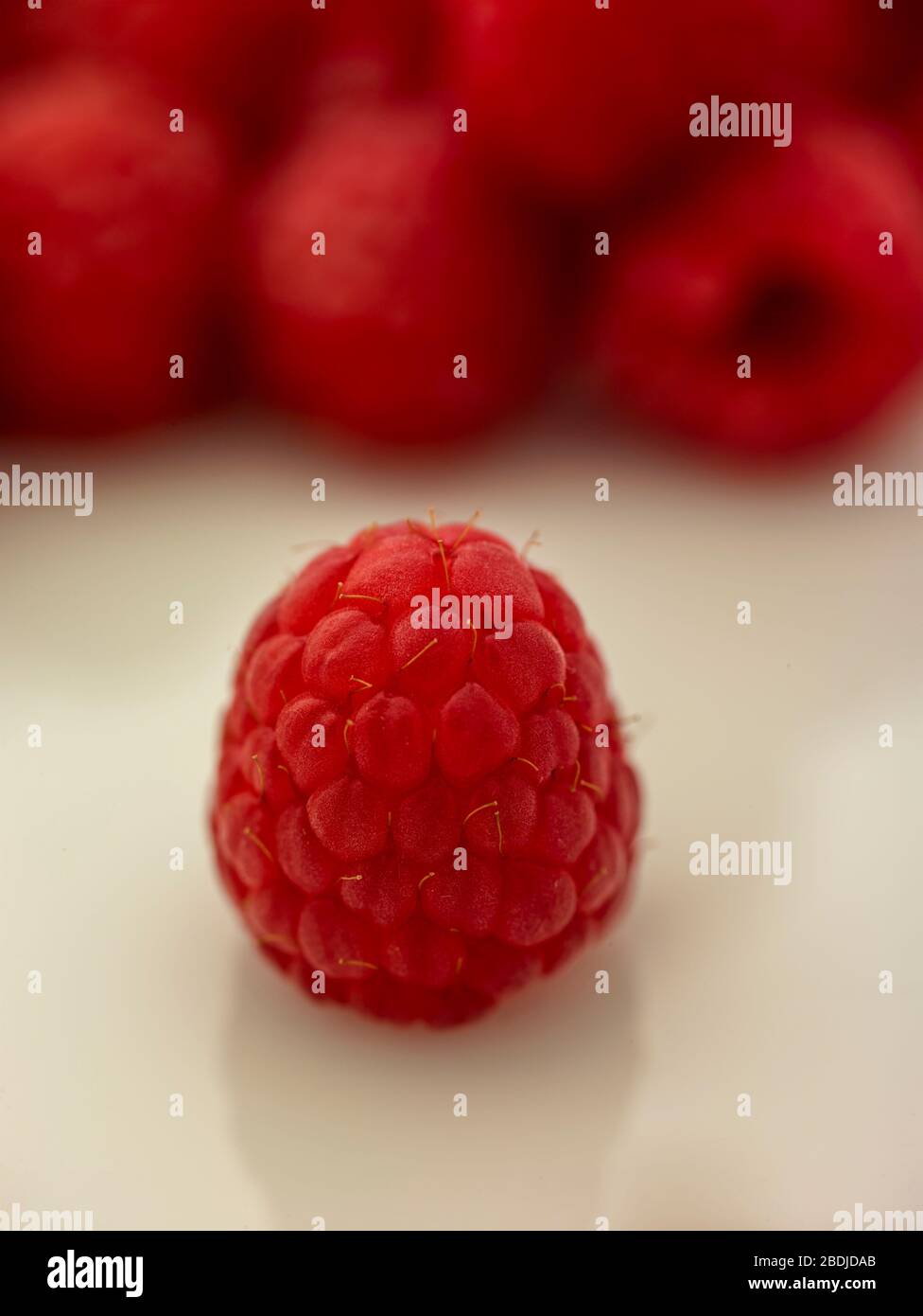 Raspberry fruit single and group food portrait on plain background ...