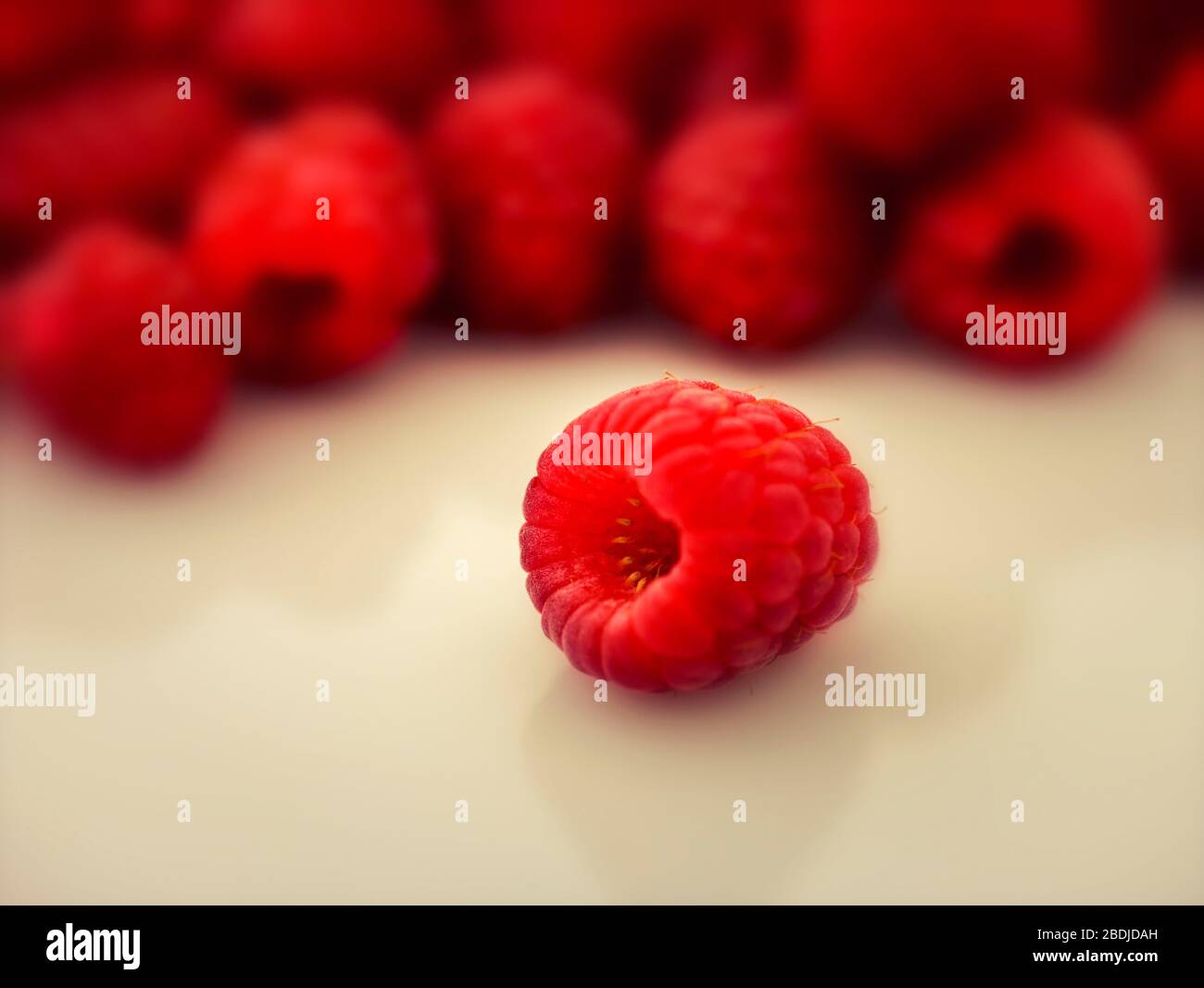 Raspberry fruit single and group food portrait on plain background ...