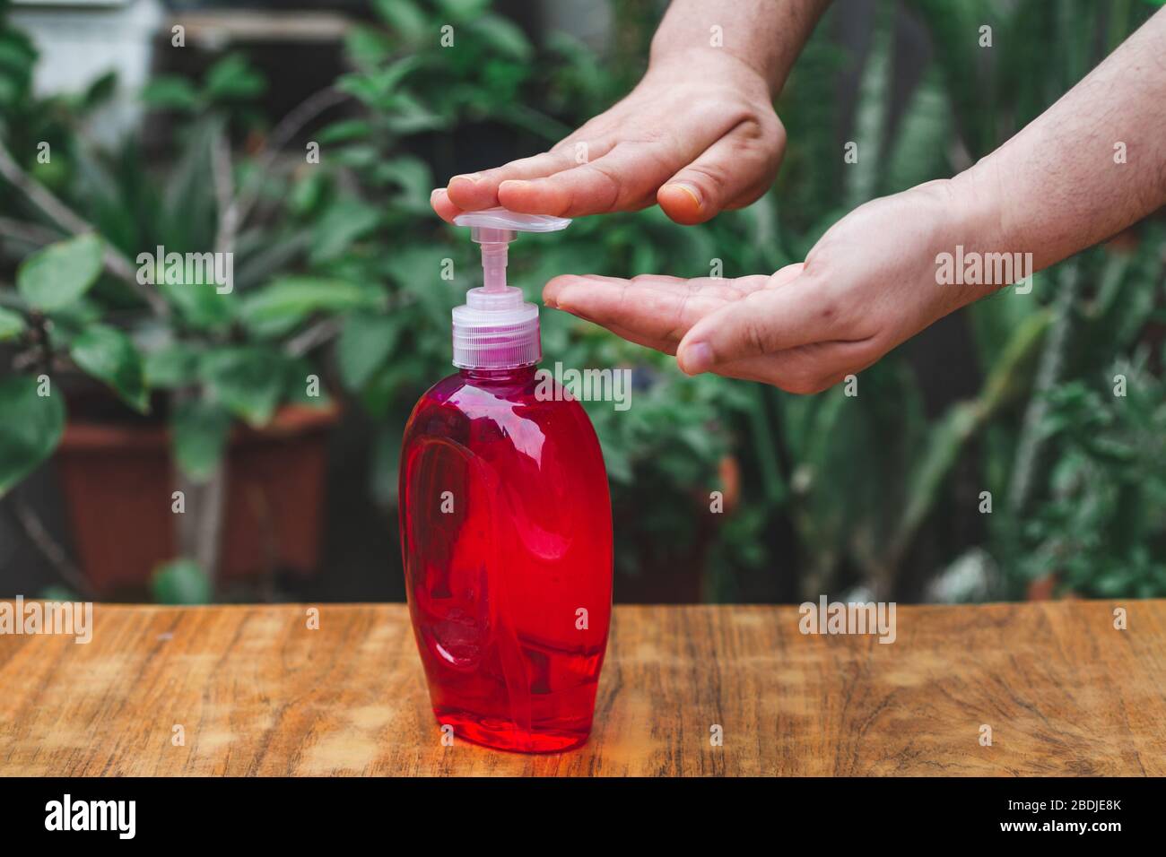 Man using red soap for disinfecting hands Stock Photo - Alamy