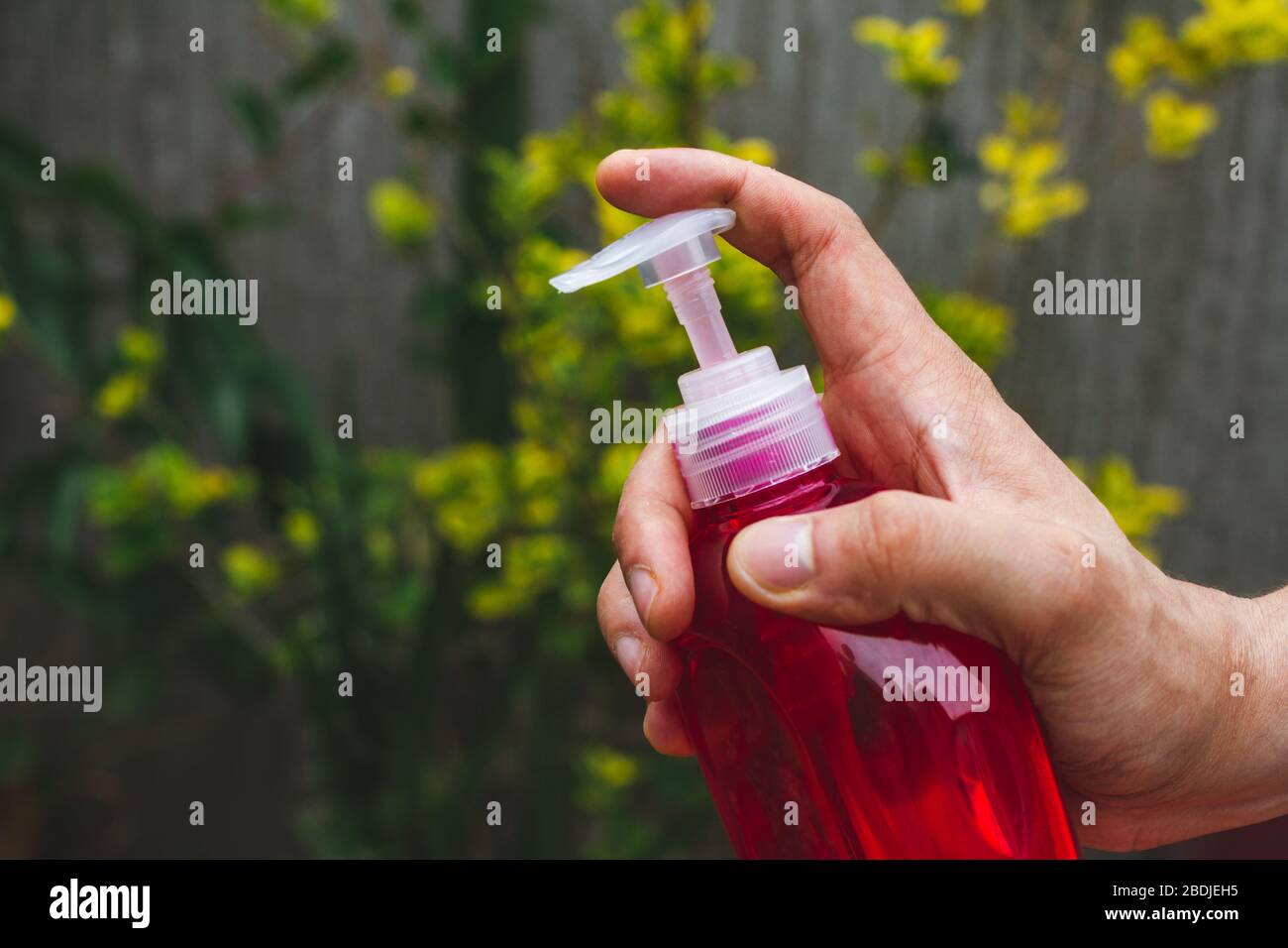 Man using red soap for disinfecting hands Stock Photo - Alamy